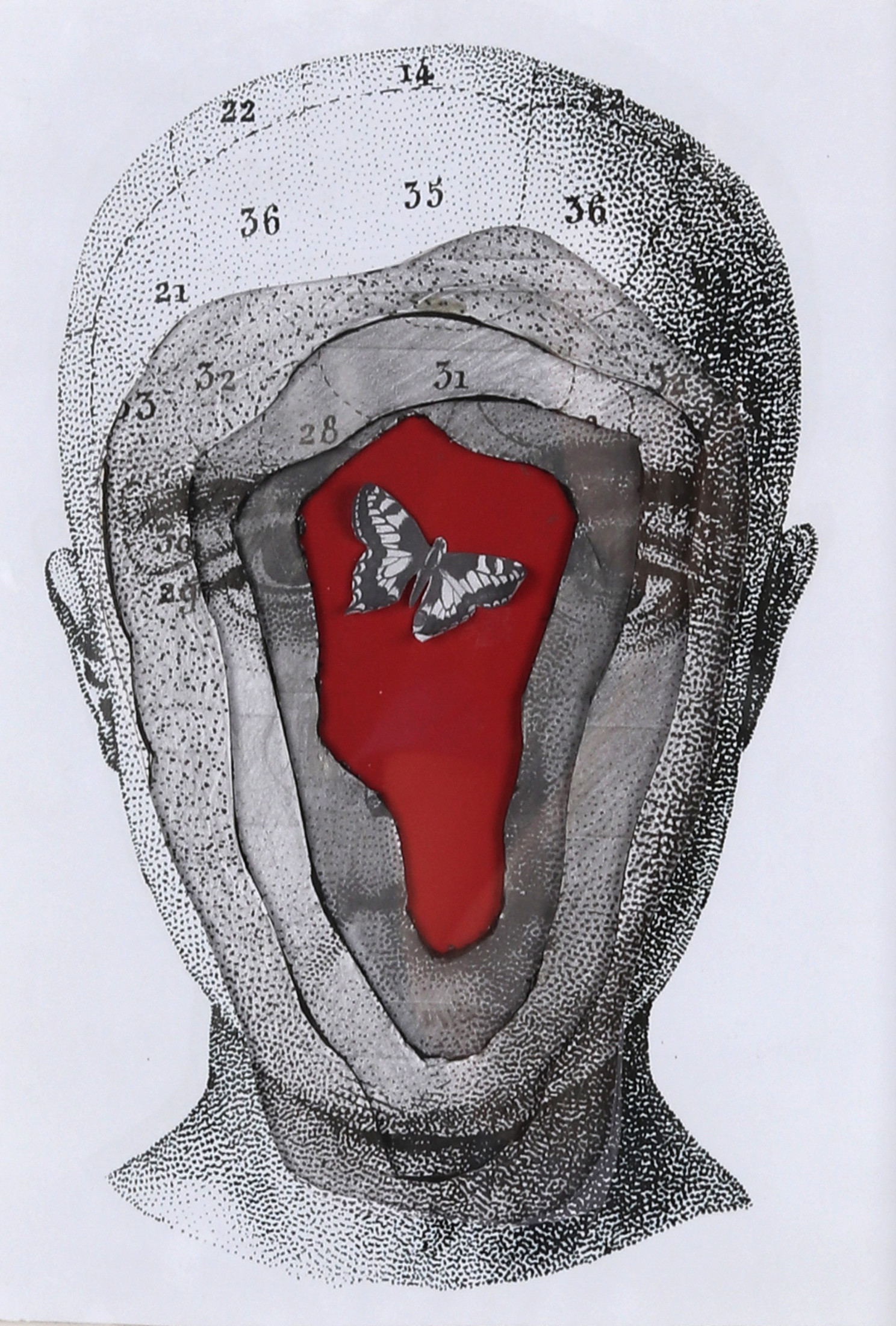 Eman Hussein, Butterfly Effect III, 2019, 44/300| Tam Gallery