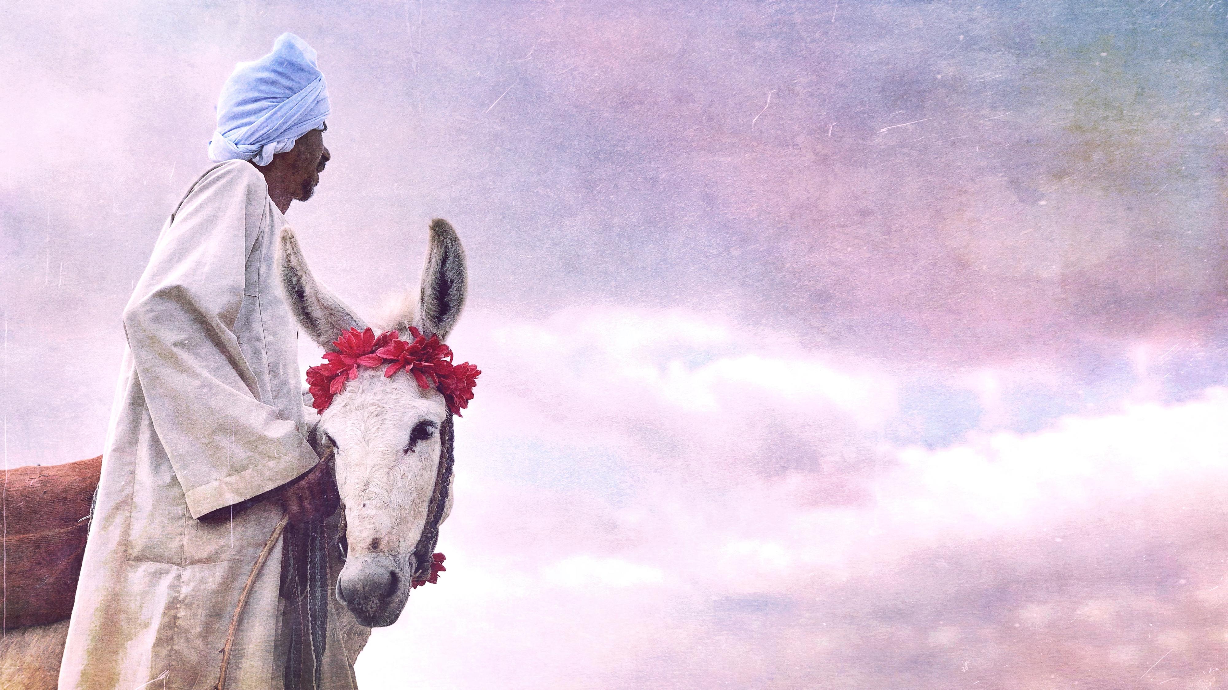 Karim El Hayawan| Tam Gallery