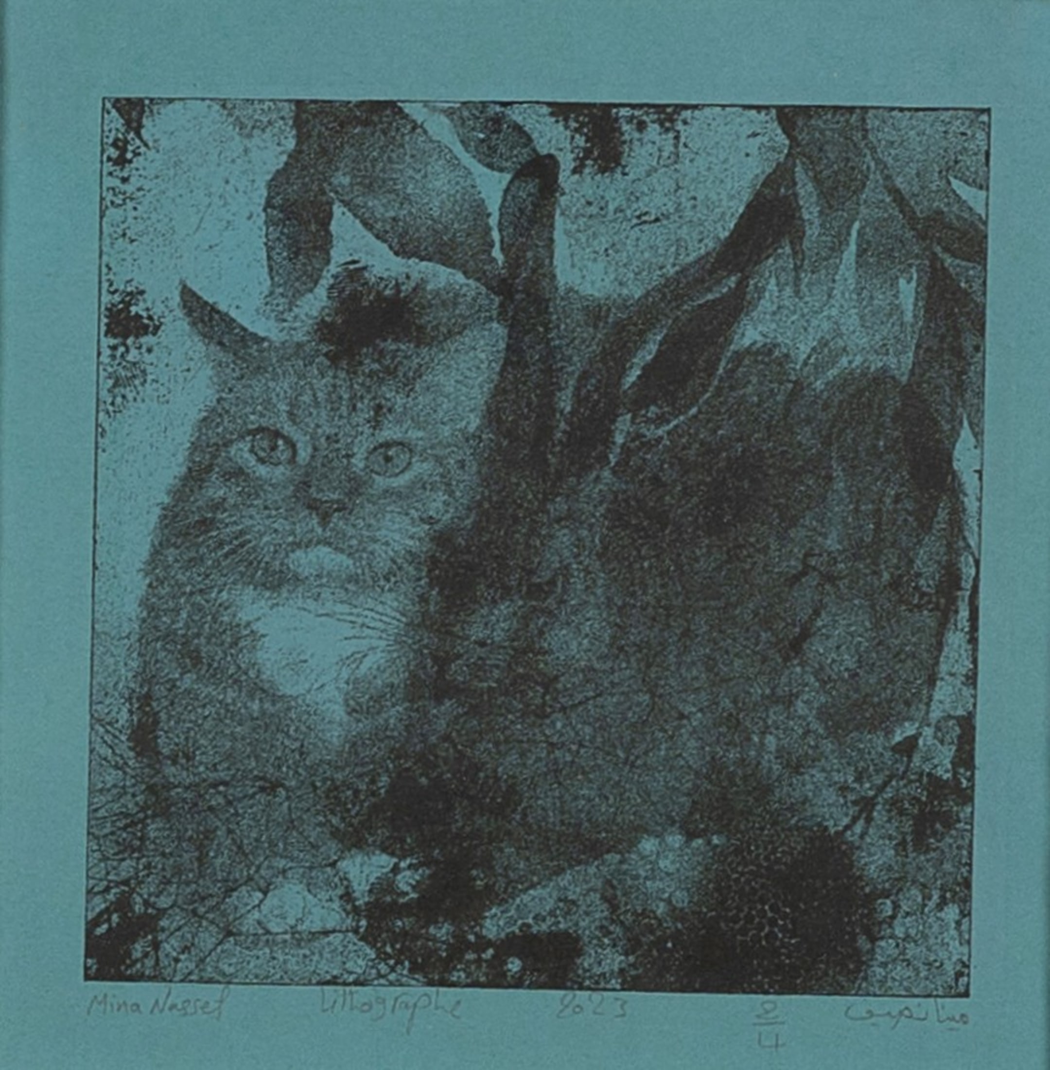 Mina Nassef| Tam Gallery