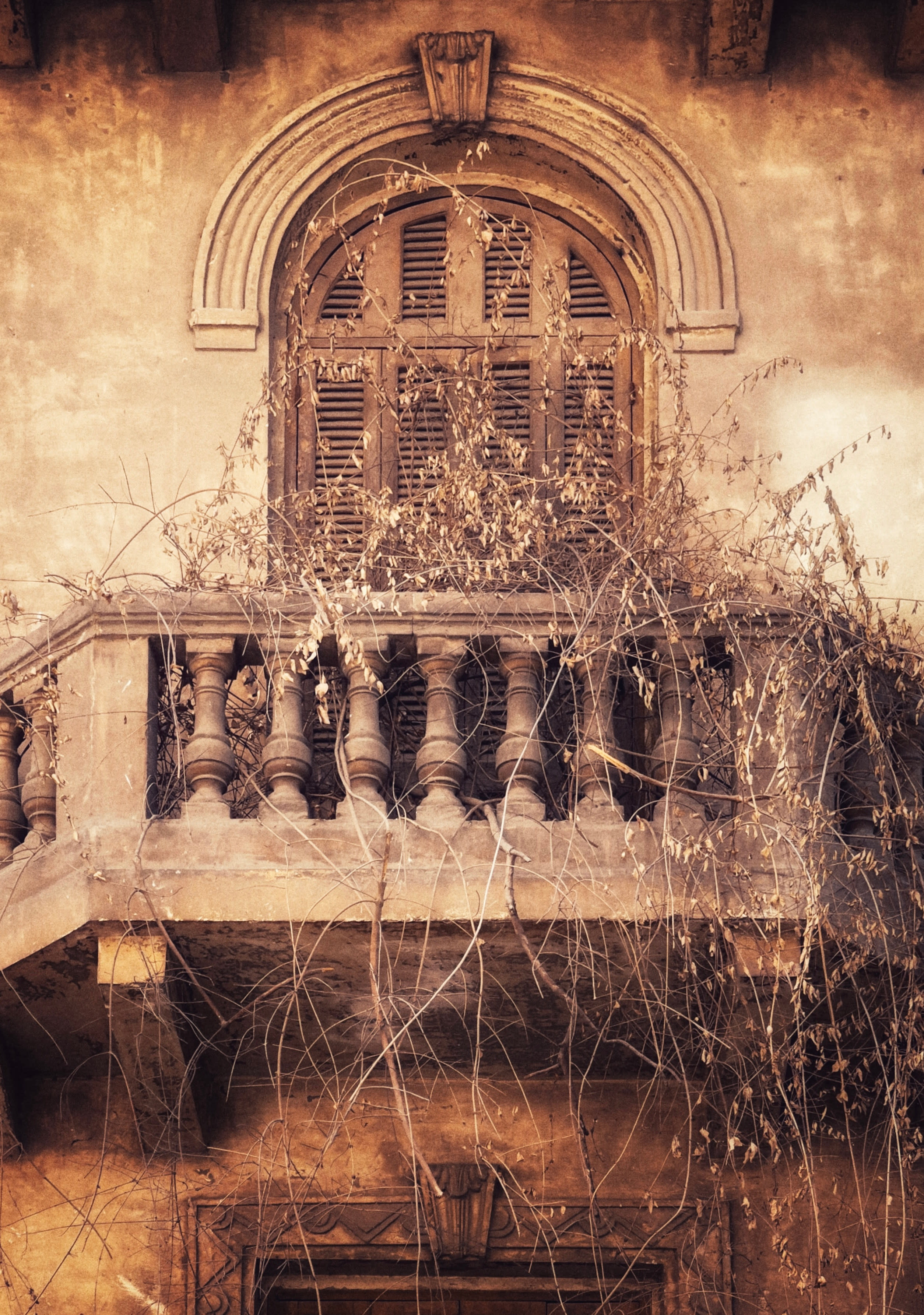 Karim El Hayawan, 2021, 138/103| Tam Gallery